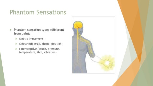 Understanding the Brain - Phantom Limb Syndrome.pptx