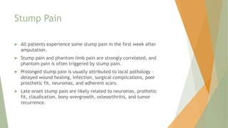 Understanding the Brain - Phantom Limb Syndrome.pptx