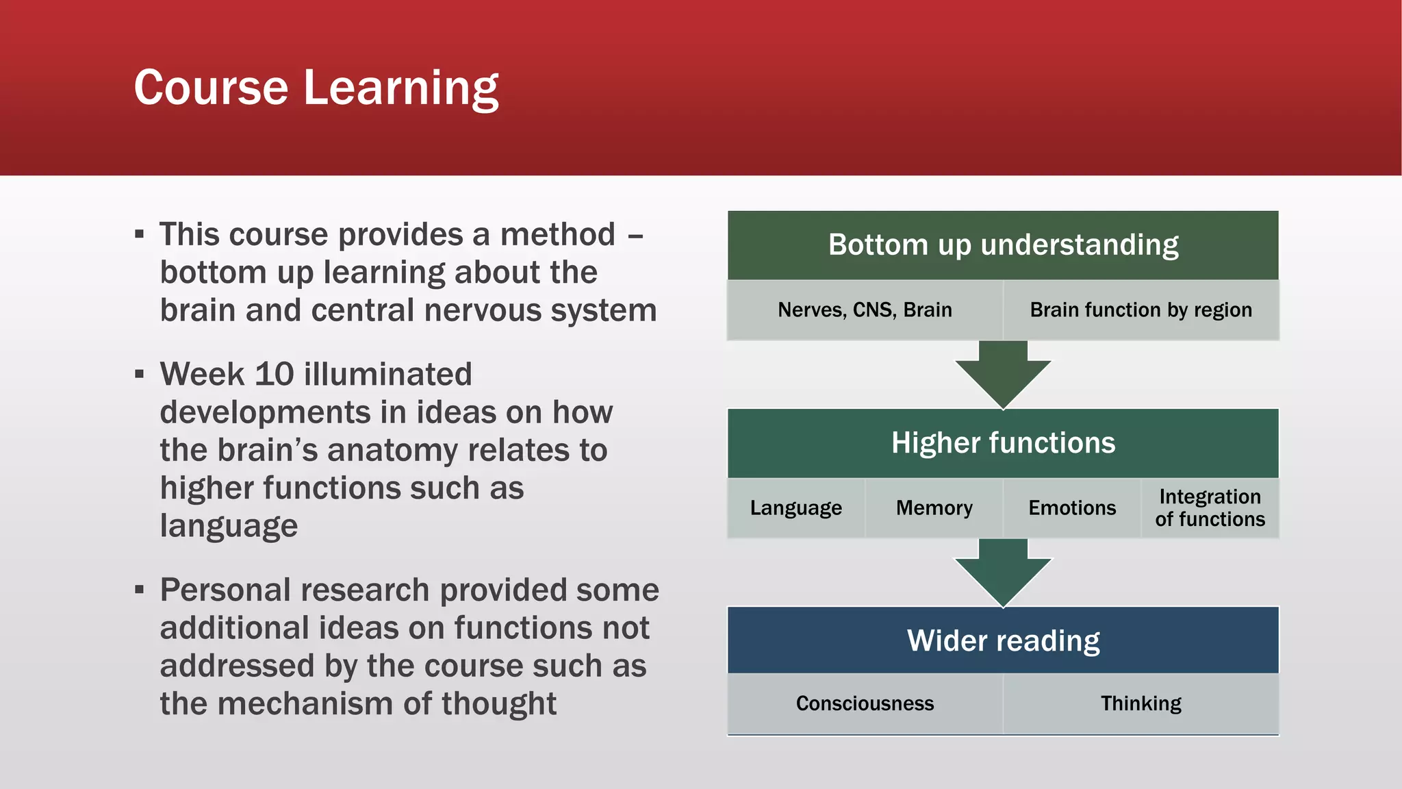 Coursera course The Neuroanatomy of the Brain - Final Project on ...