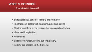 Coursera course The Neuroanatomy of the Brain - Final Project on ...