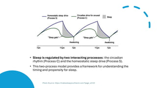Neurobiology of Sleep | Understanding the Brain The Neurobiology of ...