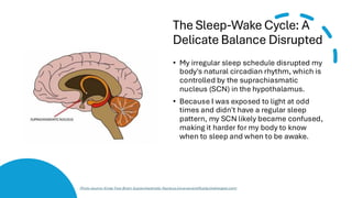Neurobiology of Sleep | Understanding the Brain The Neurobiology of ...