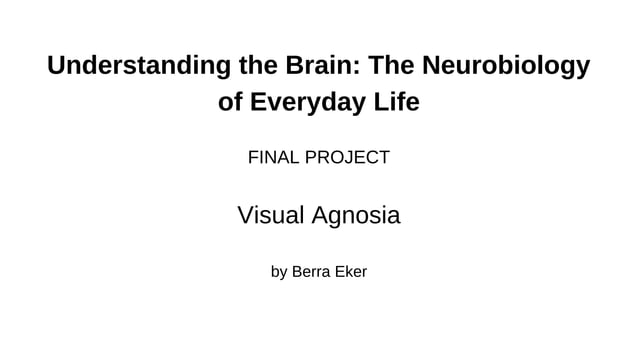 Understanding the Brain: Final Project - Visual Agnosia | PDF | Brain ...