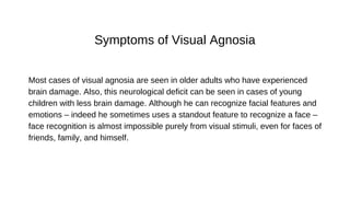 Understanding the Brain: Final Project - Visual Agnosia | PDF