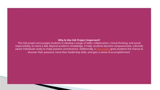 Understanding the CAS Project Concept - A Guide for First-Timers in ...