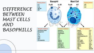 Understanding the cellular components of the immune system.pptx
