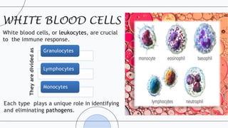 Understanding the cellular components of the immune system.pptx