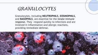 Understanding the cellular components of the immune system.pptx