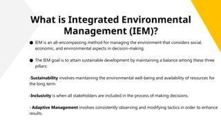Understanding the COVID-19 Global Lockdown Through IEM Principles.pptx