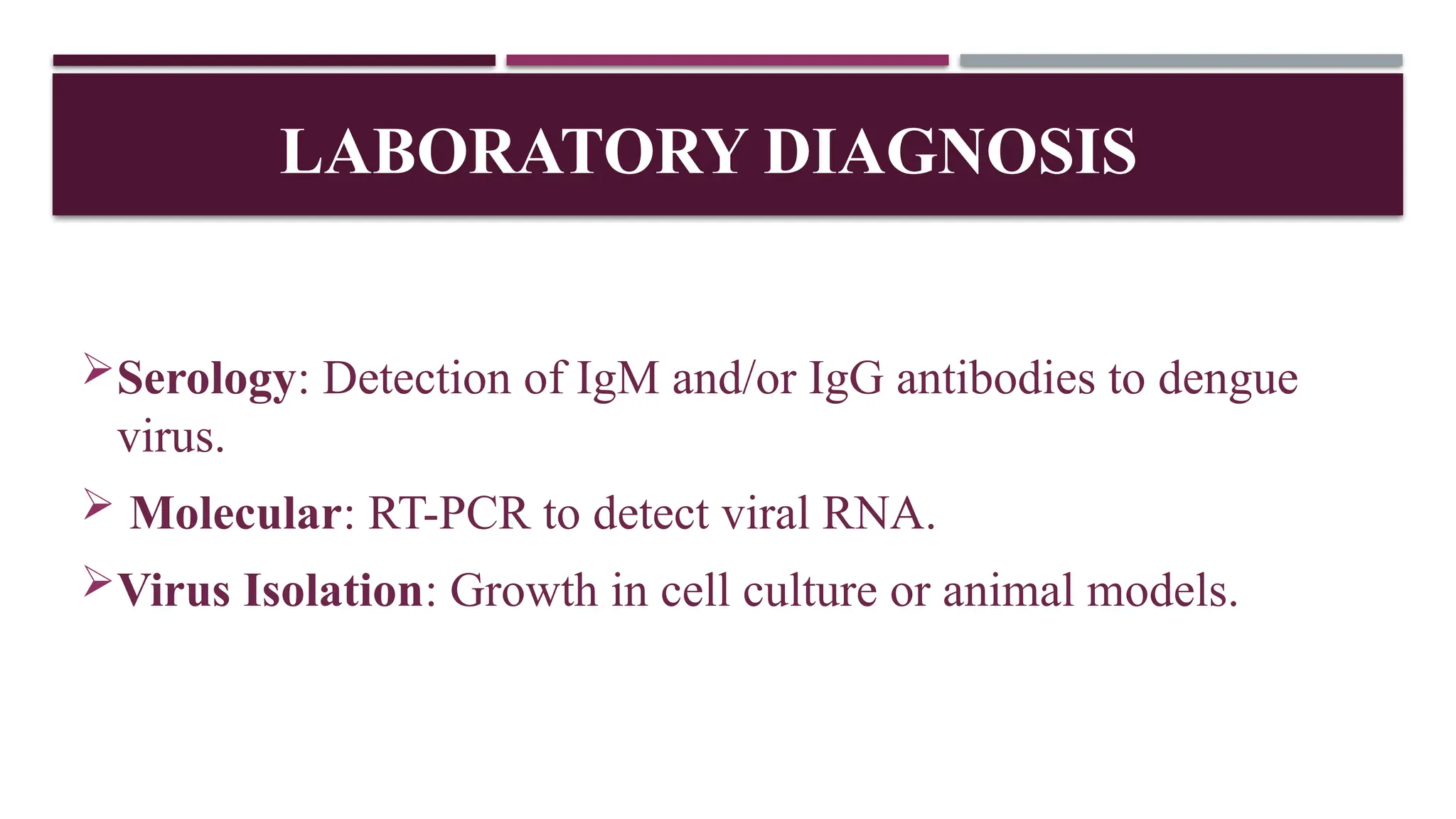 Understanding the Dengue Virus : Symptoms, Transmission, and Prevention. | PPTX | Infectious ...