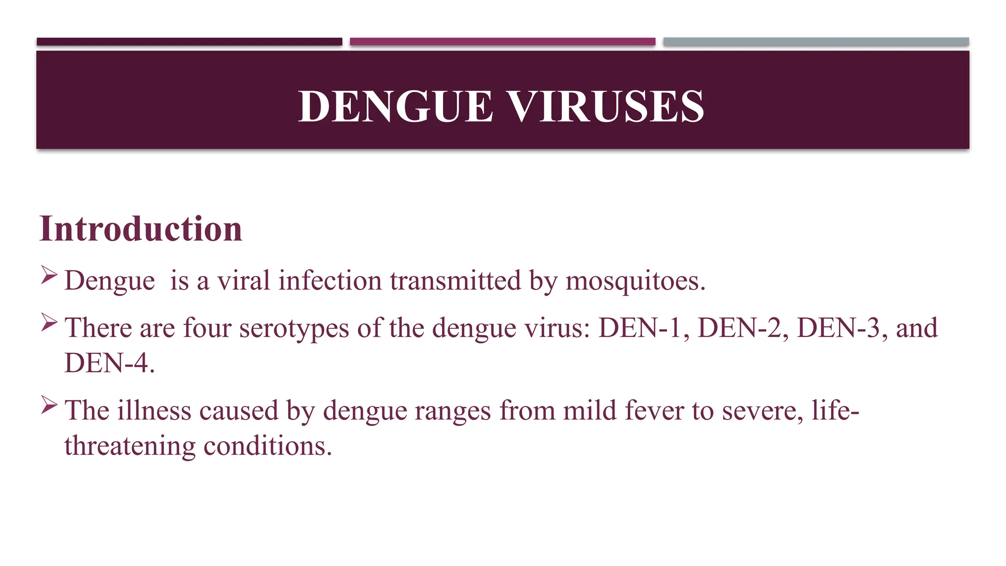 Understanding the Dengue Virus : Symptoms, Transmission, and Prevention. | PPTX | Infectious ...
