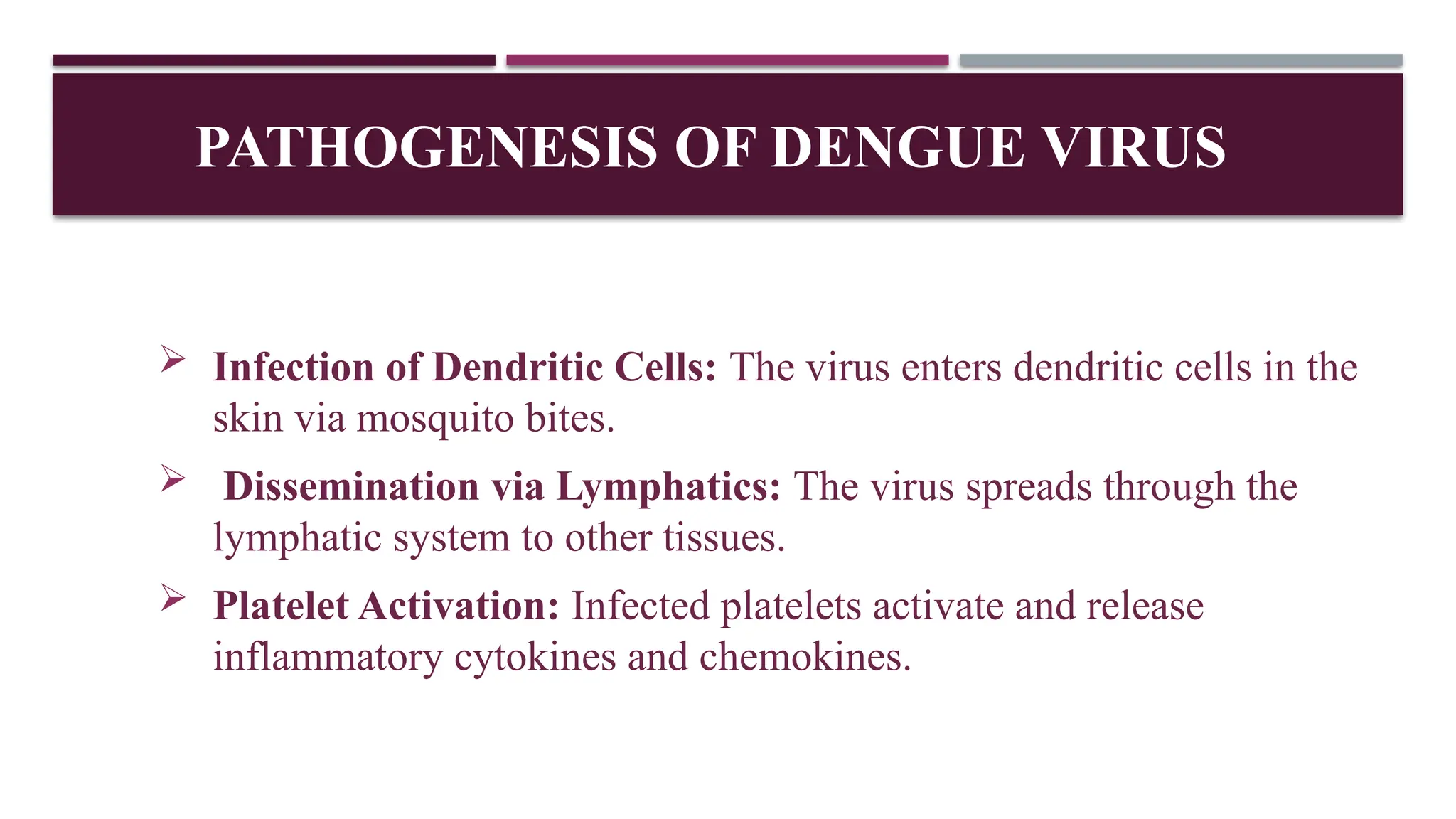 Understanding the Dengue Virus : Symptoms, Transmission, and Prevention. | PPTX | Infectious ...