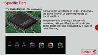 Understanding The Digital Camera | PPT