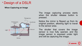 Understanding The Digital Camera | PPT