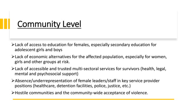 Understanding the Dynamics of Gender-Based Violence (GBV) and PSEA | PDF | Parenting | Family ...