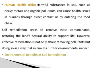 Understanding the Environmental Impact of Soil Remediation.pptx