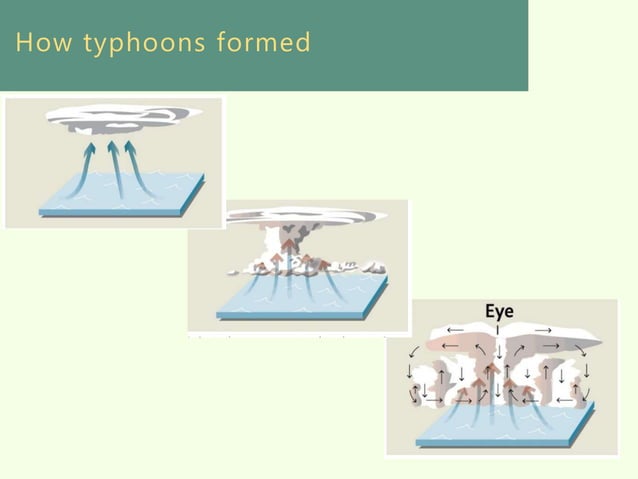 UNDERSTANDING THE FORMATION OF TYPHOONS OR HURRICANE.pptx | Weather ...