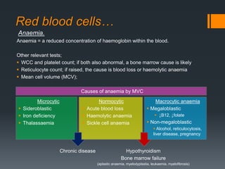 Understanding the full blood count in 15mins - A quick lit review | PDF