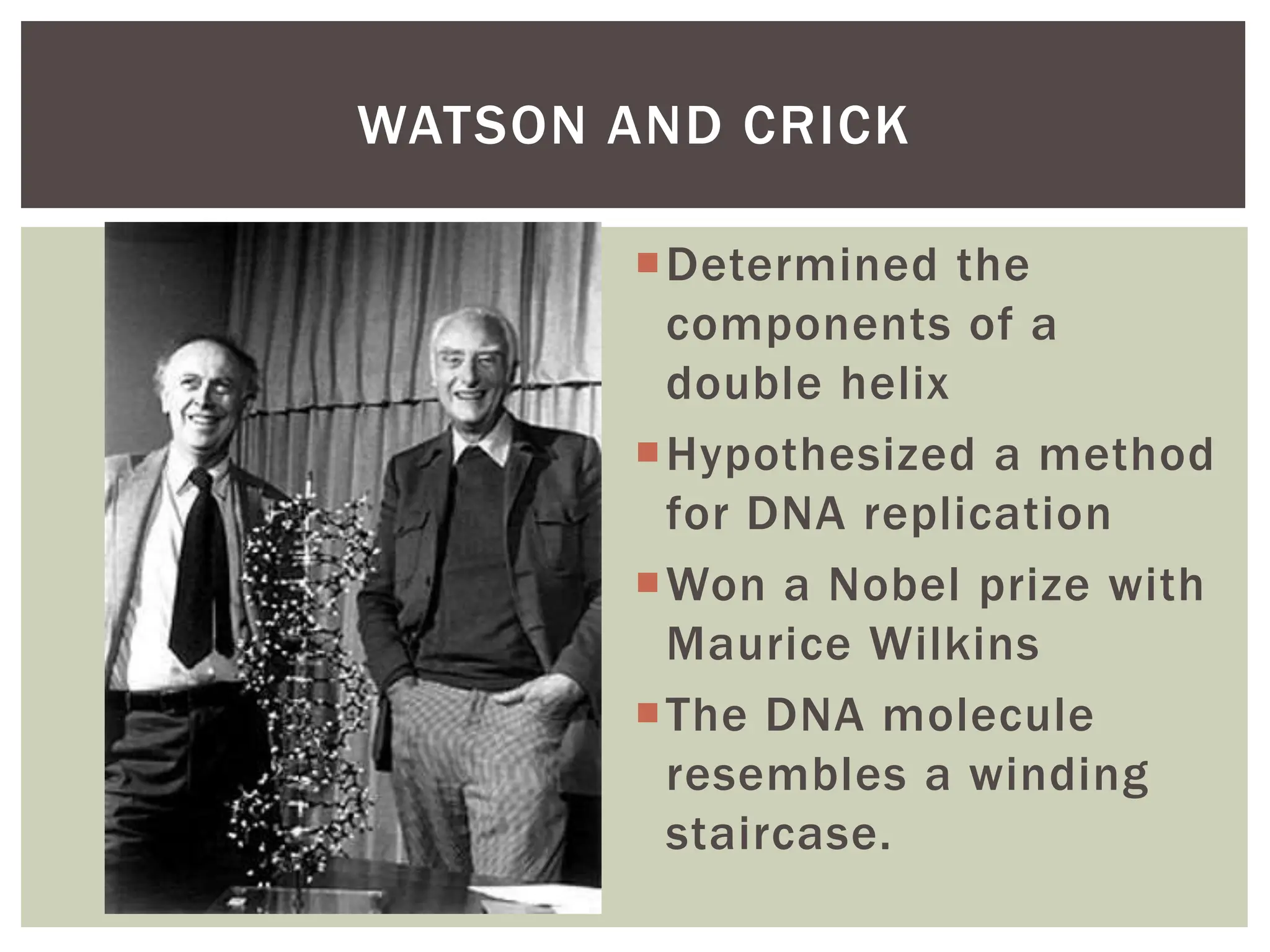 Understanding the Genetic Material, discovery and composition of DNA ...