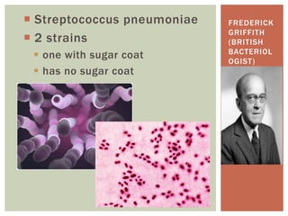Understanding the Genetic Material, discovery and composition of DNA ...