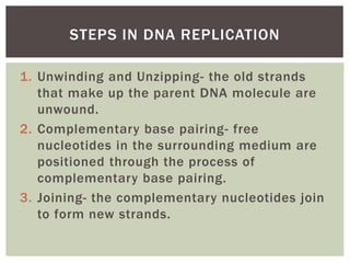 Understanding the Genetic Material, discovery and composition of DNA ...