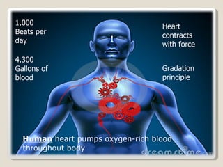 Understanding the Heart | PPT