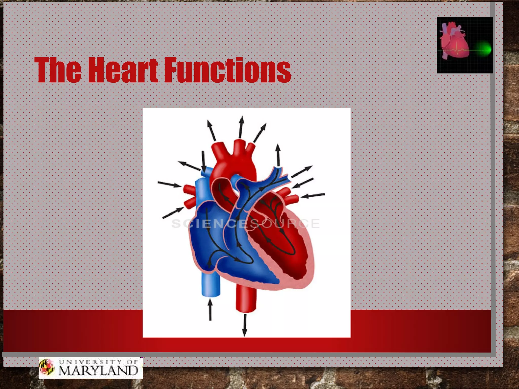 Understanding the heart | PPT