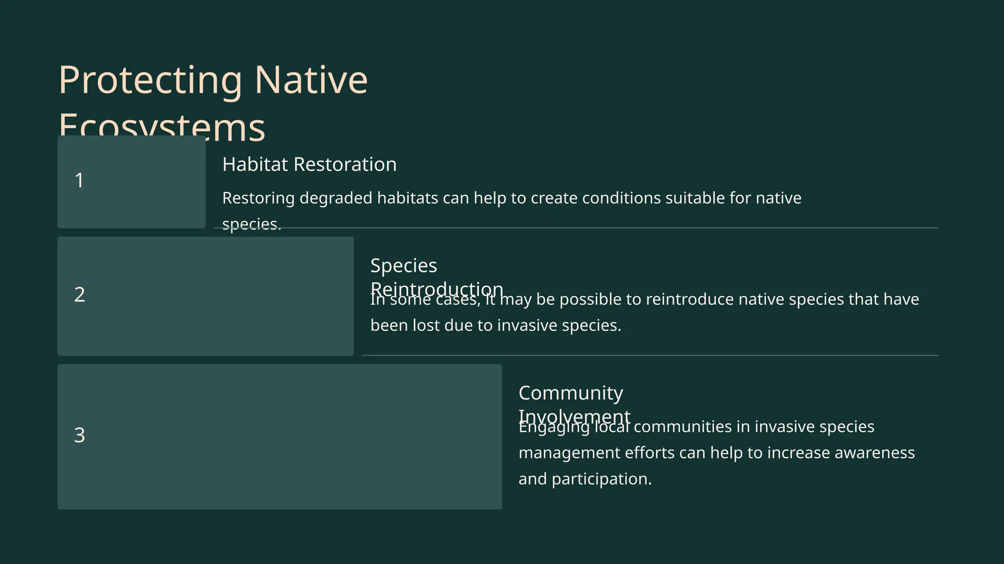 Understanding the Invasive Species Effect on Biodiversity.pptx