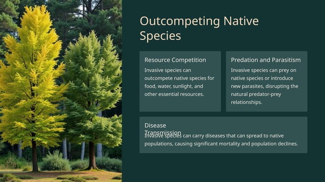 Understanding the Invasive Species Effect on Biodiversity.pptx