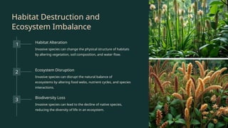 Understanding the Invasive Species Effect on Biodiversity.pptx