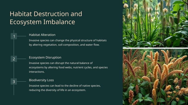 Understanding the Invasive Species Effect on Biodiversity.pptx