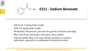 Understanding the Legitimacy of Food Additives, Common Food Additives ...