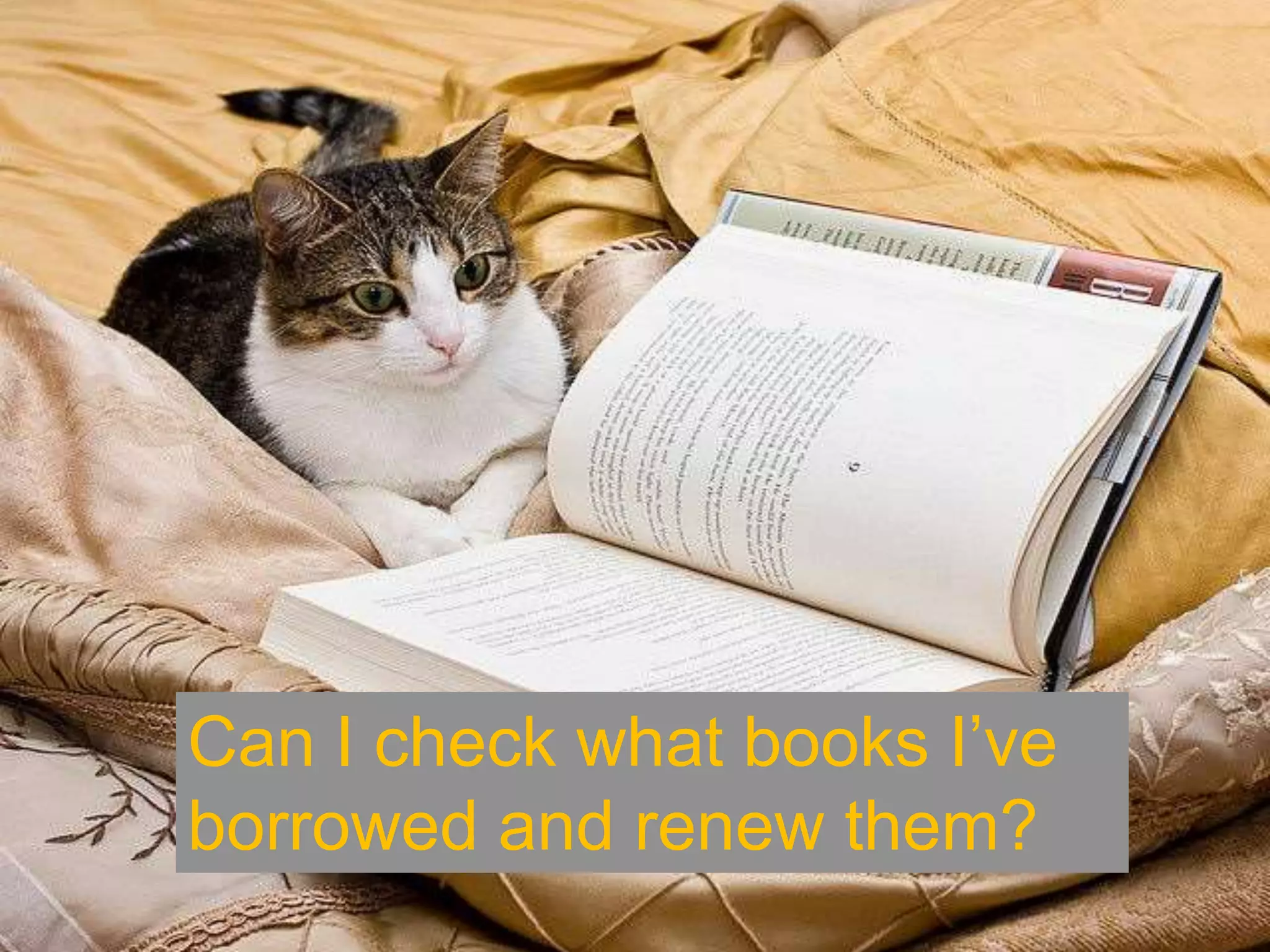 Understanding the libraries at Royal Holloway, University of London | PPTX