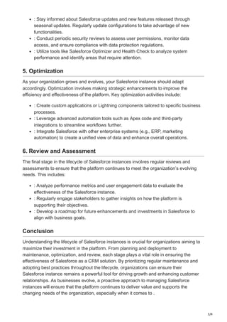 Understanding the Lifecycle of Salesforce Instances Maintenance and ...