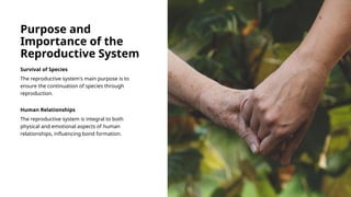 Understanding the Male and Female Reproductive Systems.pptx