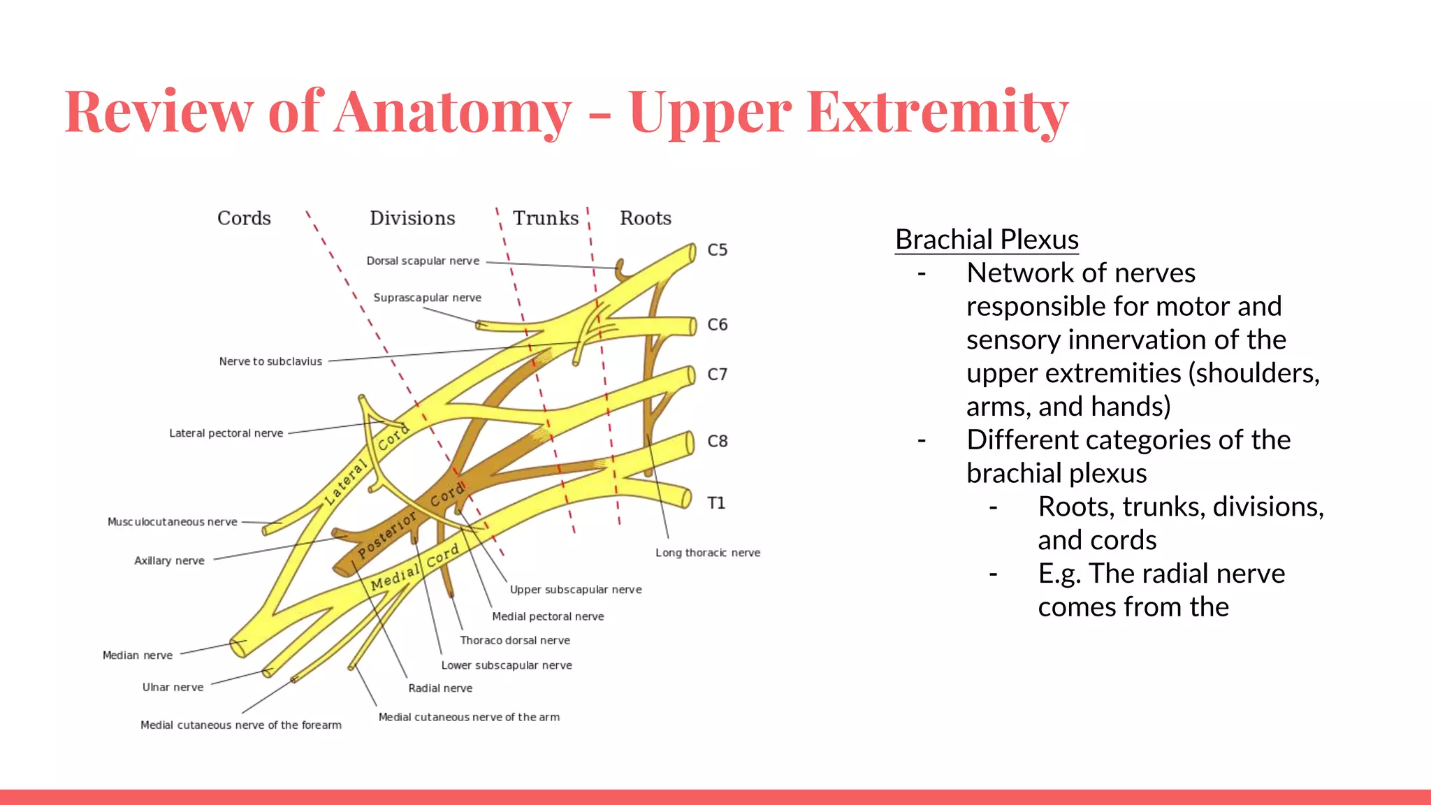 Understanding the Neurological and MSK Physical Exam.pptx