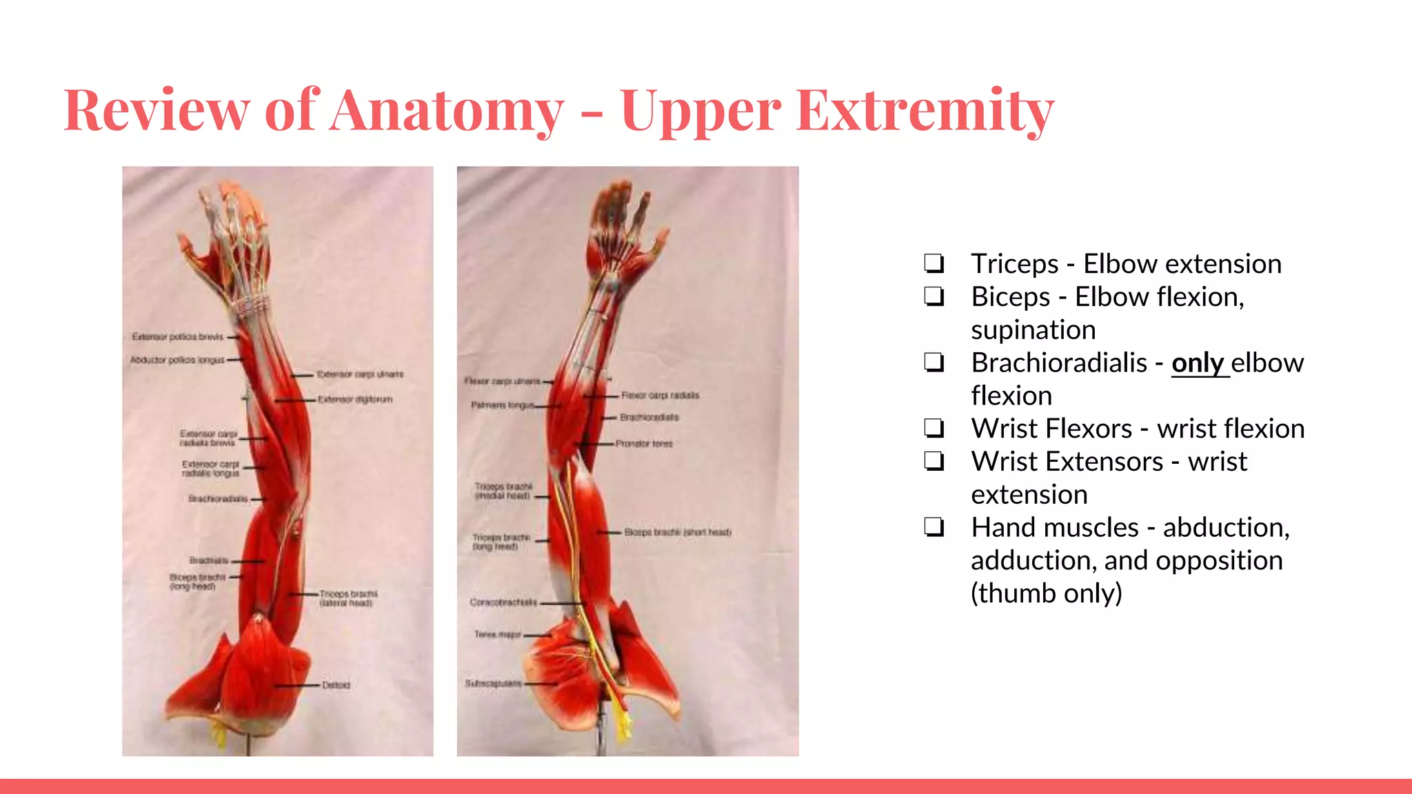 Understanding the Neurological and MSK Physical Exam.pptx