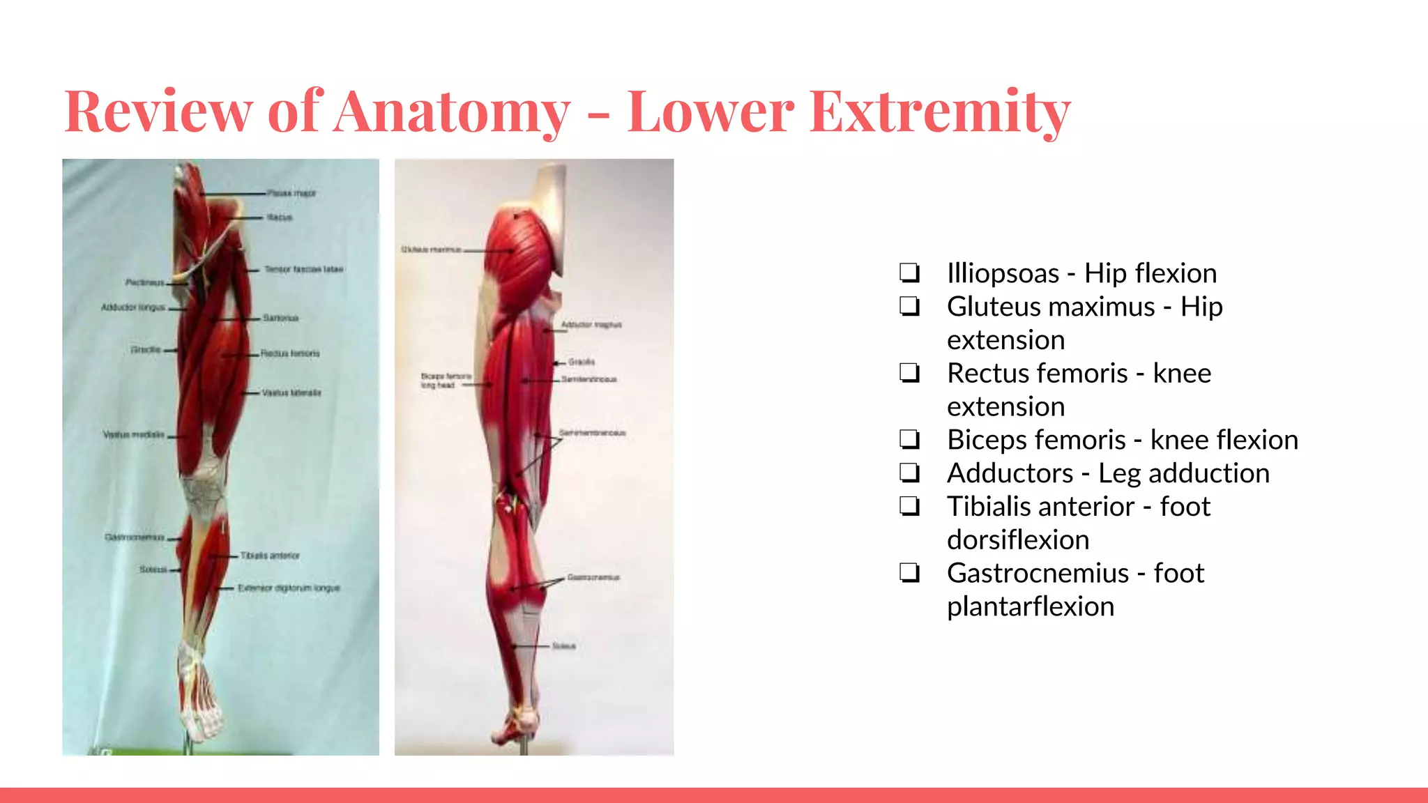 Understanding the Neurological and MSK Physical Exam.pptx