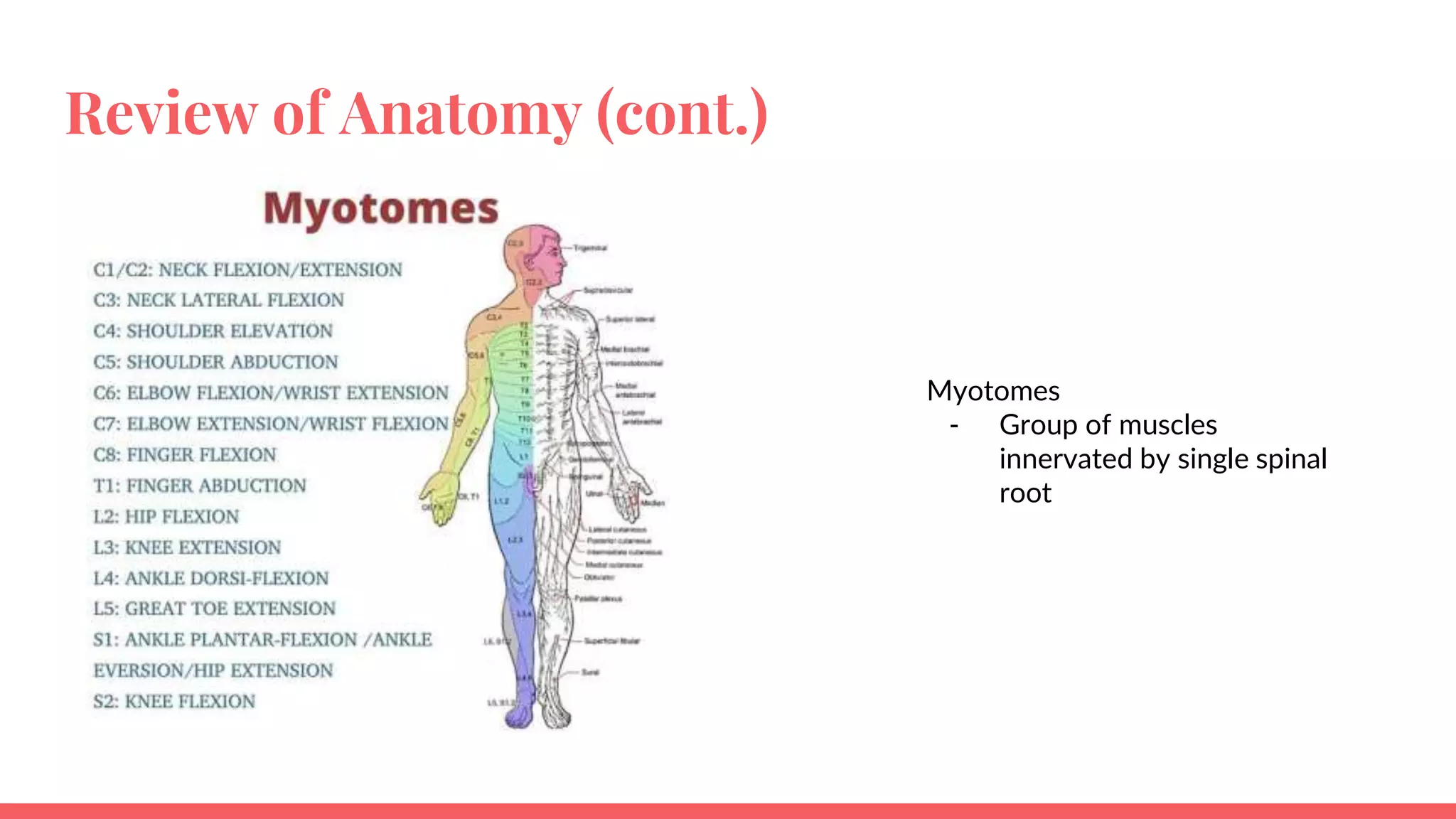 Understanding the Neurological and MSK Physical Exam.pptx