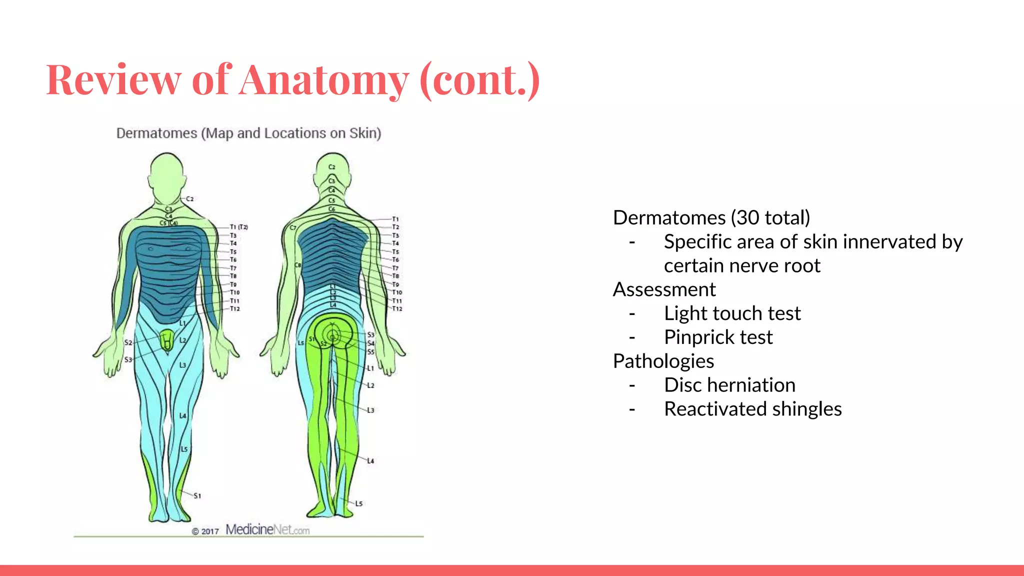 Understanding the Neurological and MSK Physical Exam.pptx