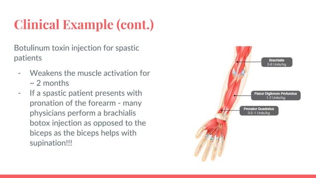Understanding the Neurological and MSK Physical Exam.pptx