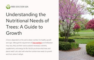 Understanding the Nutritional Needs of Trees A Guide to Growth ...