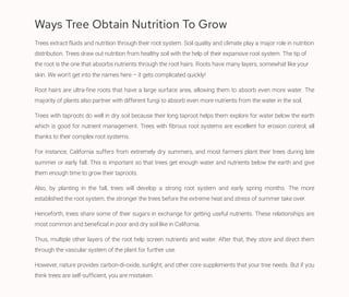 Understanding the Nutritional Needs of Trees A Guide to Growth ...