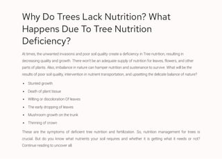 Understanding the Nutritional Needs of Trees A Guide to Growth ...