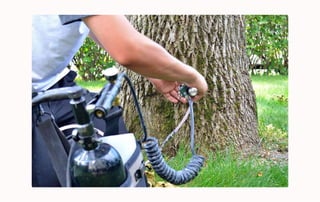 Understanding the Nutritional Needs of Trees A Guide to Growth ...