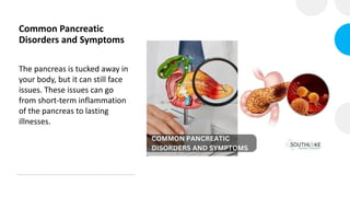 Understanding the Pancreas - Functions and Health.pdf