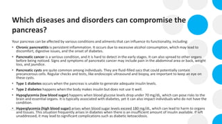 Understanding the Pancreas - Functions and Health.pdf