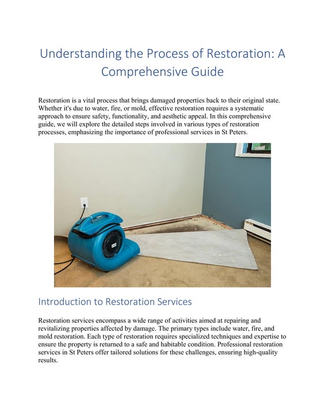 Understanding the Process of Restoration: A Comprehensive Guide | PDF