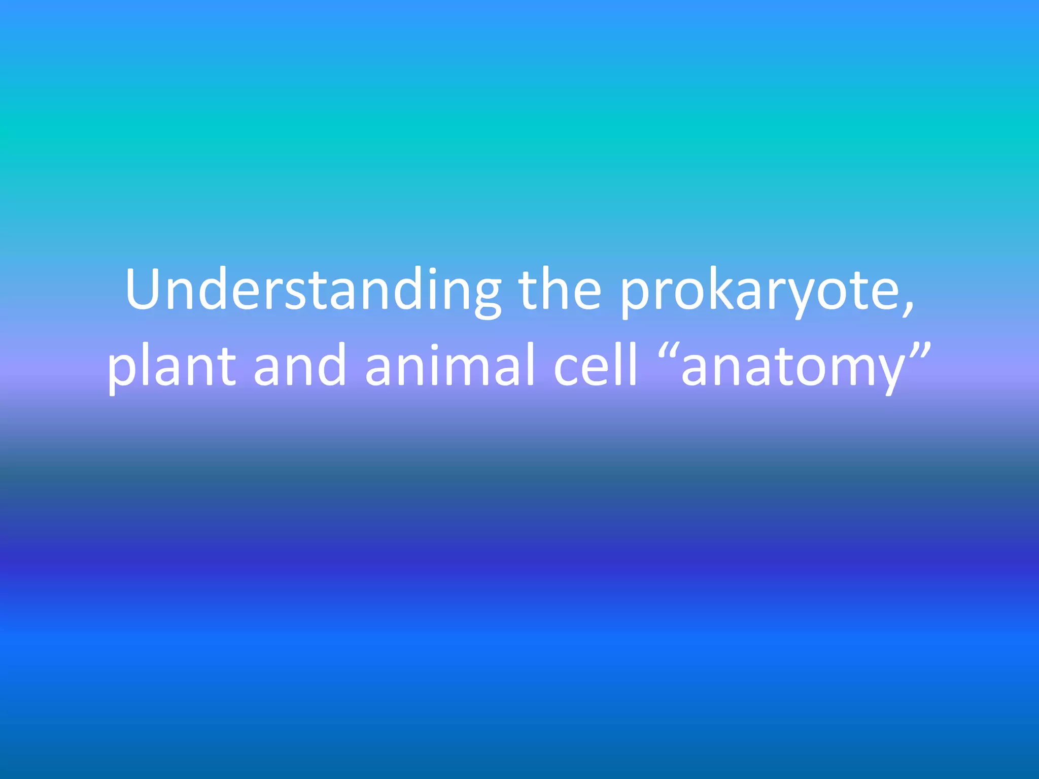 Understanding the prokaryote, plant and animal cell | PPT