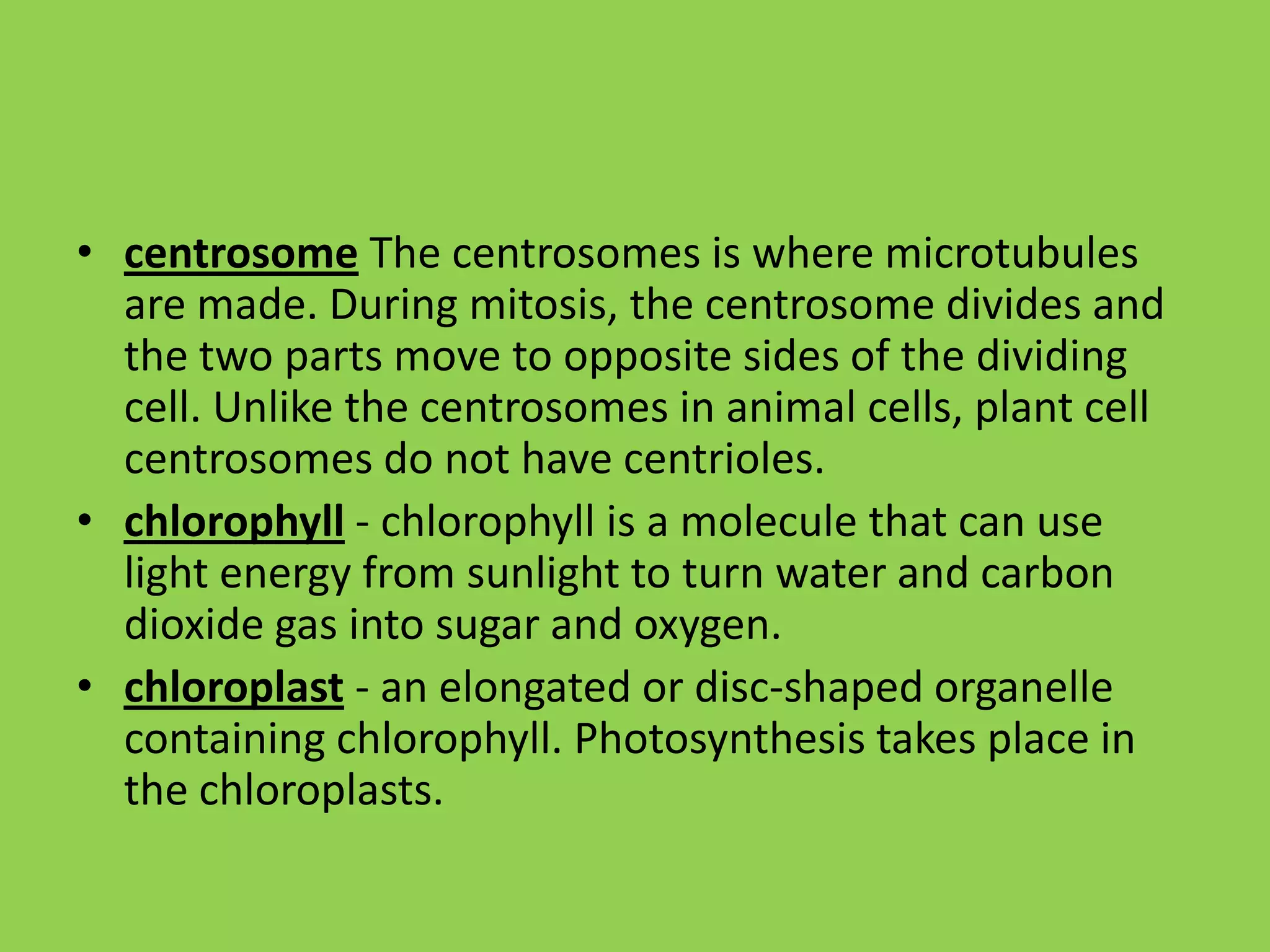 Understanding the prokaryote, plant and animal cell | PPT
